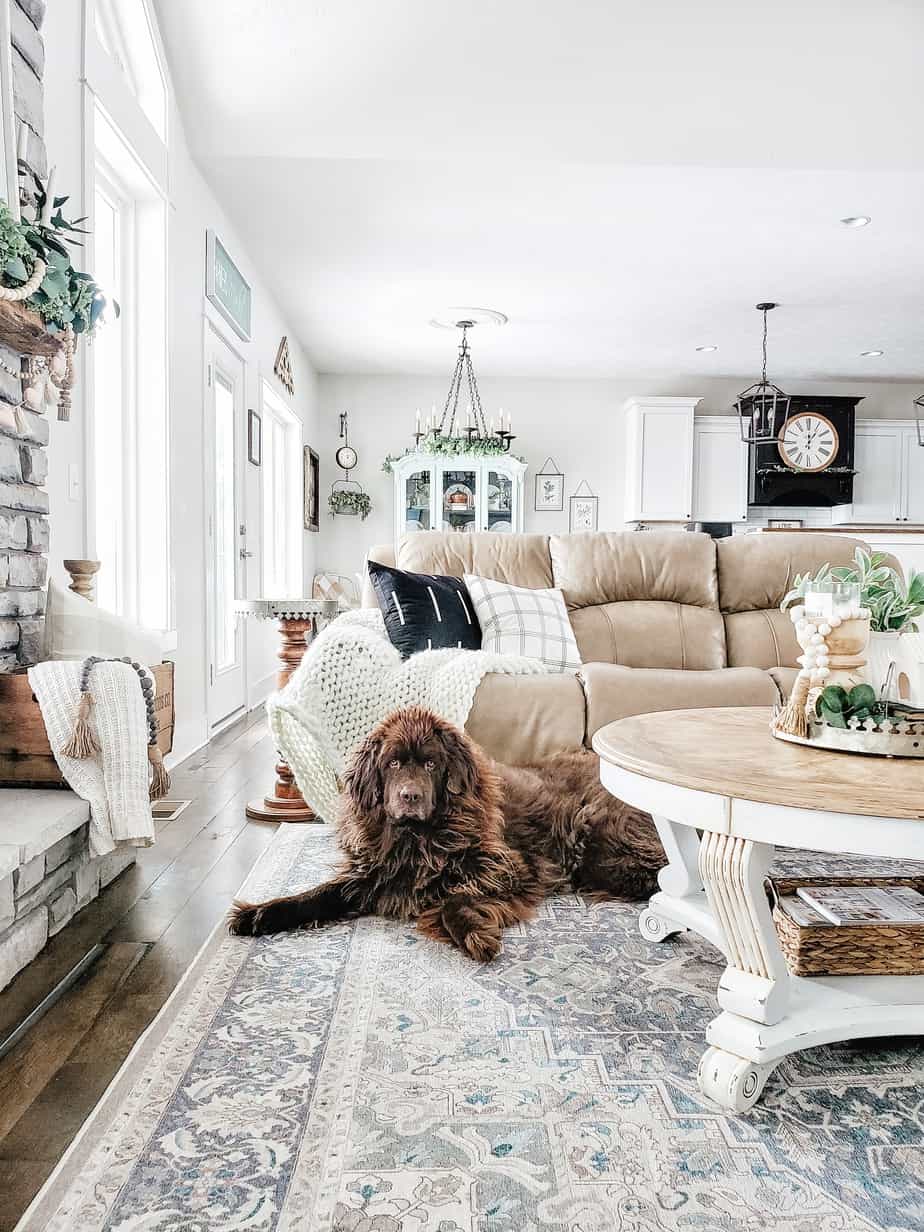 My Favorite Cozy Blankets - Truemans Treasures